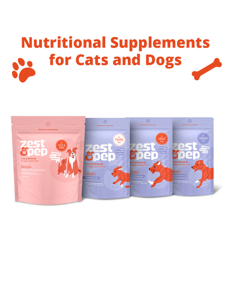 Nutritional Supplements for Cats and Dogs - Zest & Pep