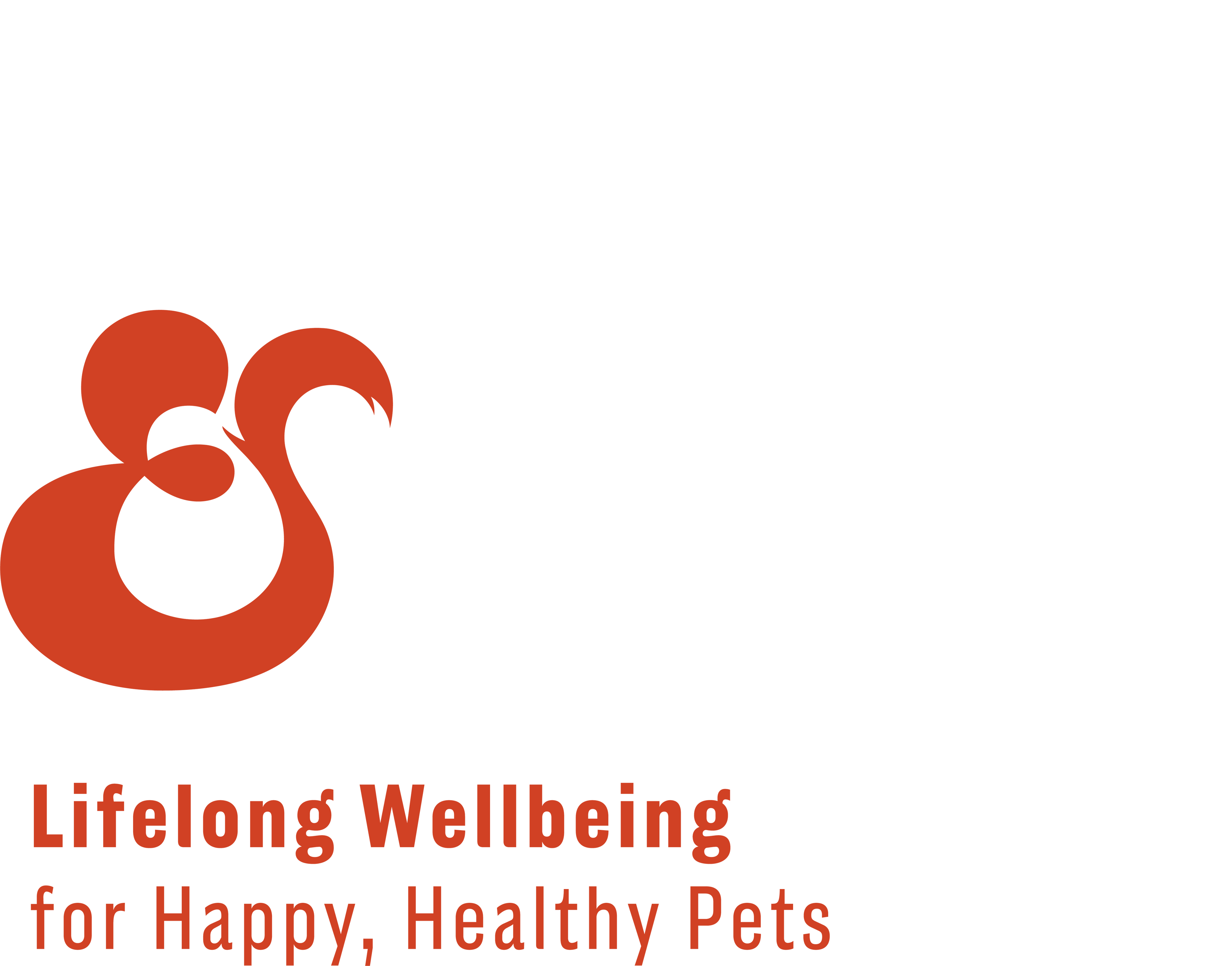 Dental+ Powder For Cats & Dogs - Zest & Pep