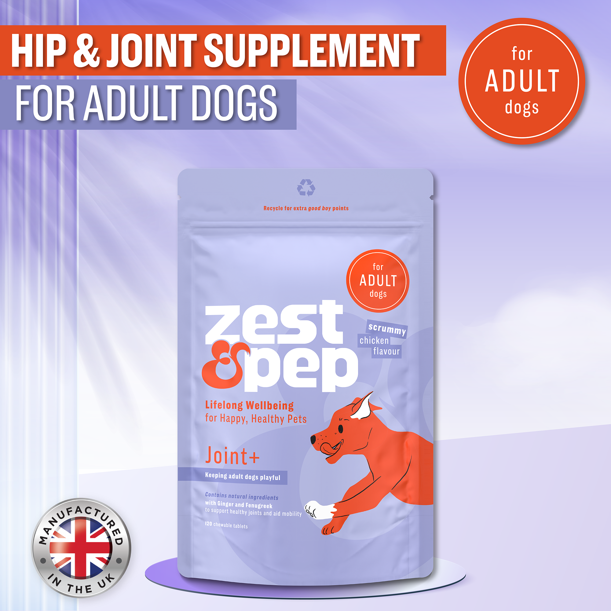 Joint+ Supplement For Adult Dogs - Zest & Pep