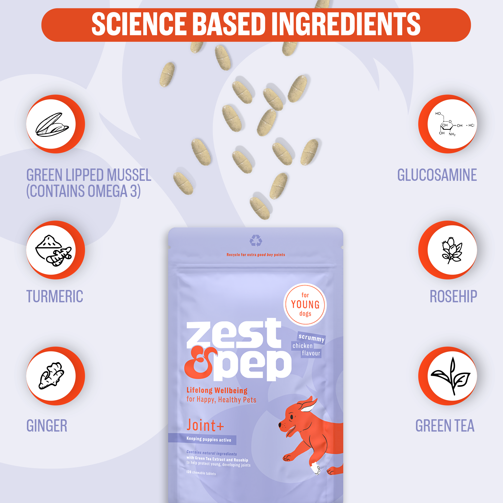 Joint+ Supplement For Young Dogs - Zest & Pep
